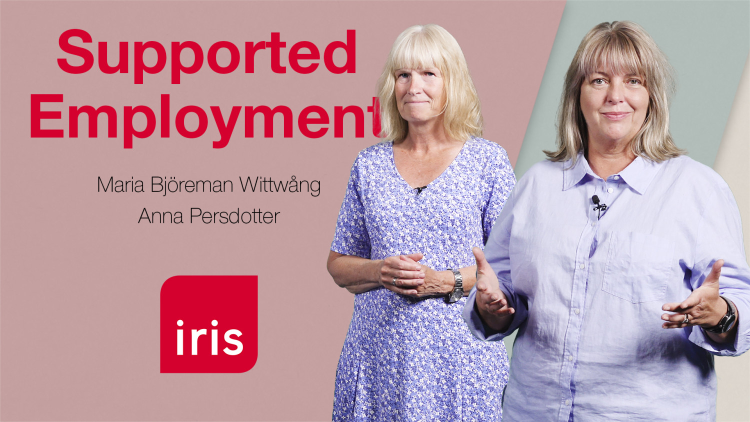 Supported Employment